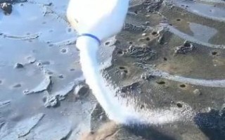 抓蛏子为什么要撒盐_撒盐原理