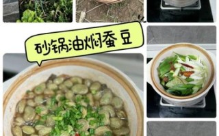 煮蚕豆怎么煮才软烂_煮蚕豆要不要先焯水