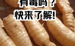 天麻不适合什么人吃_天麻禁忌人群有哪些