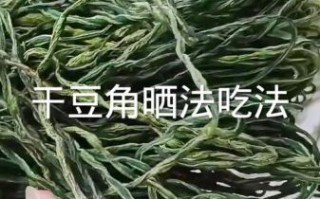 豆角网最新电视剧有哪些_豆角网电视剧更新时间表