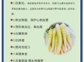 笋的营养价值及功效_吃笋有什么好处