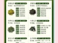 绿茶有哪些品种好喝_什么绿茶最香醇