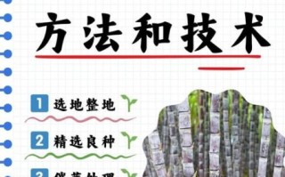 甘蔗种植技术视频教程_如何科学种甘蔗