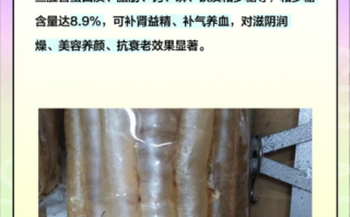 鱼肚有什么功效_鱼肚营养价值高吗