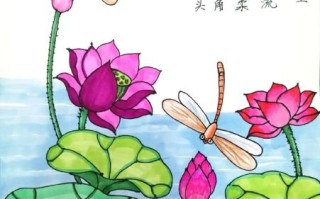 小池诗配画怎么做_如何赏析小池诗配画