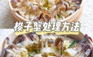 梭子蟹怎么清洗_梭子蟹清洗步骤
