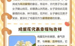 鸡蛋花花语是什么_鸡蛋花适合送什么人