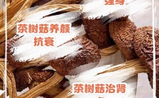茶树菇的功效与作用_茶树菇的禁忌有哪些