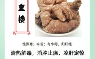 重楼多少钱一斤_重楼的功效与作用