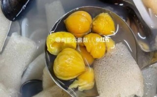 淡菜汤的功效与作用_淡菜汤怎么做最补肾