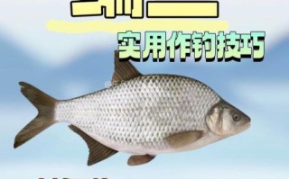 钓鳊鱼用什么饵料_鳊鱼饵料配方大全