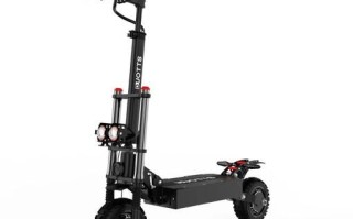 滑板车怎么选_滑板车哪个牌子好