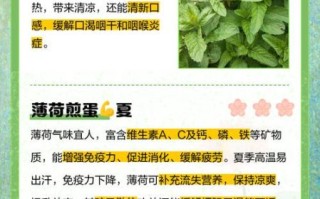 薄荷减肥有效吗_薄荷减肥食谱怎么做