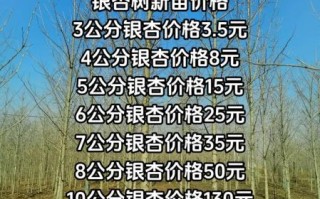 银杏树价格多少钱一棵_银杏树价格表2024最新