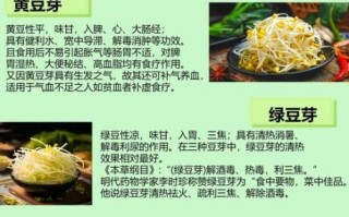豆芽菜怎么发_豆芽菜的营养价值