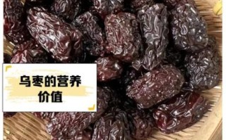 乌枣是什么_乌枣的功效与作用