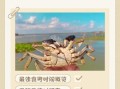 大闸蟹什么时候上市_大闸蟹几月份吃最好