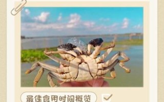 大闸蟹什么时候上市_大闸蟹几月份吃最好