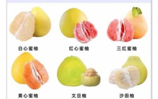 柚子是酸性还是碱性_吃柚子会改变体质吗