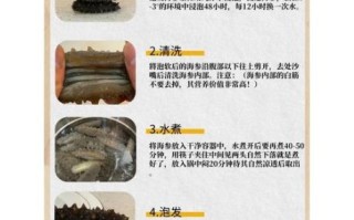 海参怎么泡发最快_海参泡发多久最好