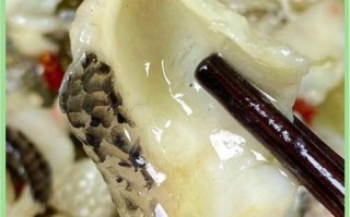 酸菜鱼怎么做_酸菜鱼视频教程