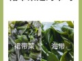 裙带菜和海带的区别_哪个营养更高