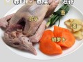 鸽子肉的功效与作用_鸽子肉适合什么人吃