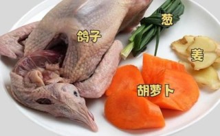 鸽子肉的功效与作用_鸽子肉适合什么人吃
