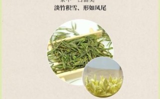 安吉白茶属于什么茶_为什么叫白茶