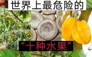 致癌水果有哪些_哪些水果被传致癌