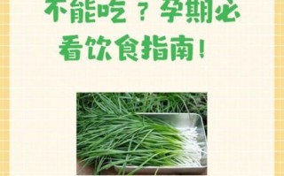 孕妇能吃韭菜吗_孕妇吃韭菜注意事项