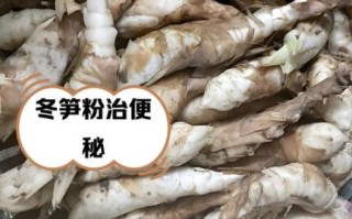 芦笋粉的功效与作用_芦笋粉的禁忌有哪些
