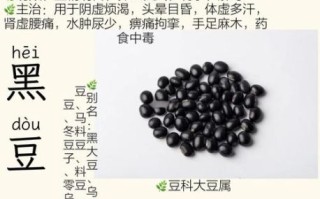 黑芸豆和黑豆的功效区别_哪个更适合养生