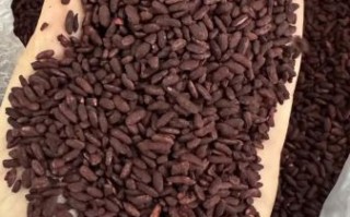 红曲米多少钱一斤_红曲米价格为什么差距大