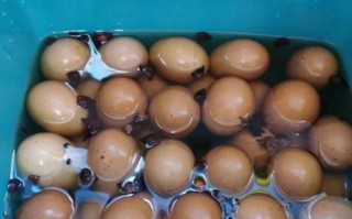 怎样腌熟鸡蛋好吃_腌鸡蛋用什么调料最香