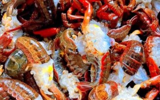 十三香龙虾怎么做_家常做法步骤