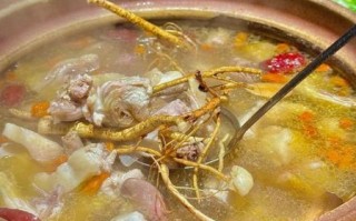 五指毛桃煲鸡汤窍门_五指毛桃鸡汤怎么煲不苦