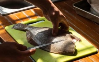 鲽鱼多少钱一斤_鲽鱼价格为什么波动大