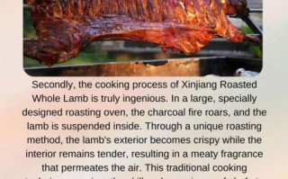 羊肉英语怎么读音_羊肉用英语怎么说