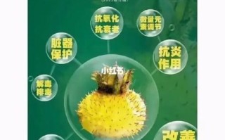 野生刺梨的作用是什么_野生刺梨的功效与禁忌