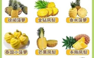 菠萝和凤梨是一种水果吗_区别在哪里
