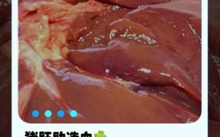 猪肝补血吗_吃猪肝多久见效 猪肝补血吗_吃猪肝多久见效