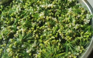 韭花怎么做好吃_韭花酱的正宗做法