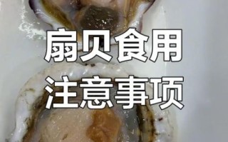 扇贝哪些部位不能吃_怎么处理才安全