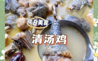 炖鸡肉怎么炖才好吃_炖鸡肉的正确步骤