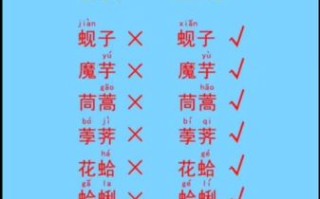 蛤蜊的读音是什么_蛤蜊怎么读才标准