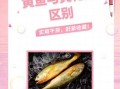 黄鱼和黄花鱼哪个更贵_价格差异原因