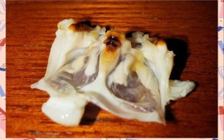 螃蟹怎么吃出法海图解_法海蟹黄怎么取图解