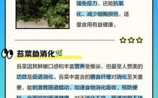 苔菜的功效与禁忌_哪些人不能吃苔菜