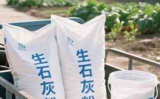 石灰粉是什么_石灰粉有哪些用途